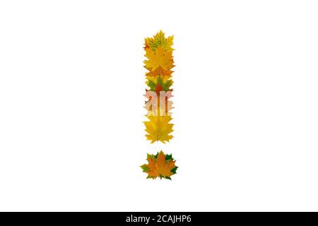 Exclamation mark on a maple leaf. Isolated on white Stock Photo - Alamy