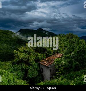 Abandoned and overgrown Stock Photo - Alamy