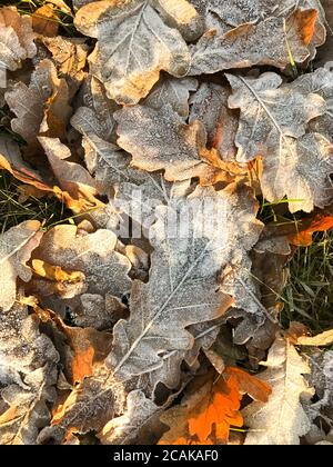 Autumn and cold weather concept. October and November time Stock Photo ...
