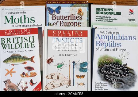 Selection of wildlife books and field guides on flora and fauna on a ...