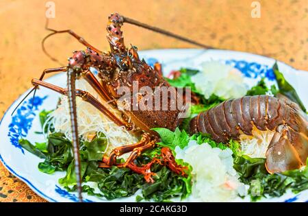 Japanese Spiny Lobster, Panulirus japonicus (Von Siebold, 1824) Owase ...