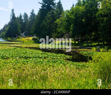Magic island with floating islands, water fall and field Stock Photo ...