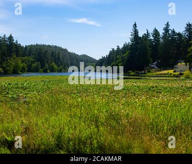 Magic island with floating islands, water fall and field Stock Photo ...