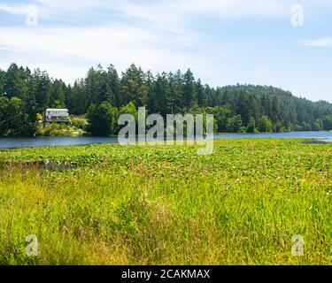 Magic island with floating islands, water fall and field Stock Photo ...
