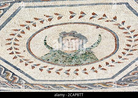 Luna, Goddess of the Moon. Roman Mosaic. Museum: PRIVATE COLLECTION ...