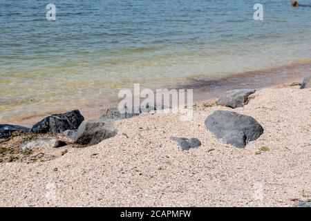 Stone At A Beach At Marken The Netherlands 6-8-2020 Stock Photo - Alamy