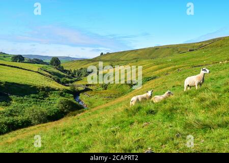 Old Haworth Road, Crimsworth Dean, Hebden Bridge, Pennines, Yorkshire ...