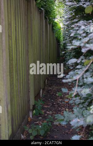 narrow dark alleyway between building and fencing Stock Photo - Alamy