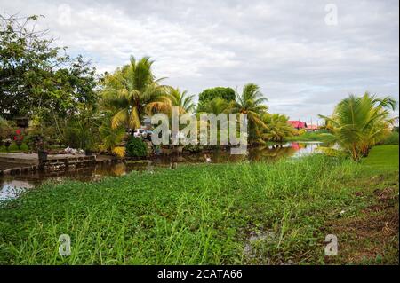 Canal in the northern suburb of capital city Paramaribo in Suriname ...