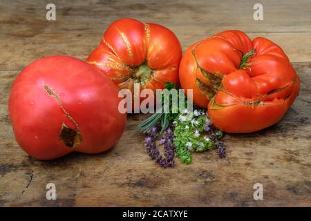 Ancient tomatoes variety and aromatic herbs on old wooden background in ...