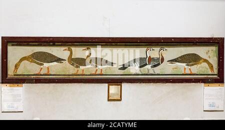Cairo, Egyptian Museum, tomb of Nefermaat and Itet (Meidum) : Nefermaat ...