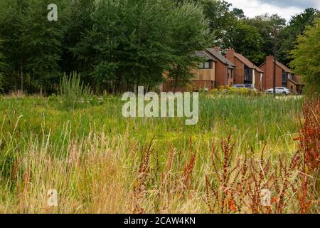 new houses Swardeston common Stock Photo - Alamy