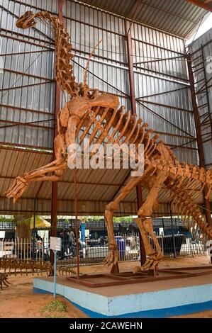 skeleton of Dinosaur Jobaria tiguidensis in Niamey at Niger Stock Photo ...