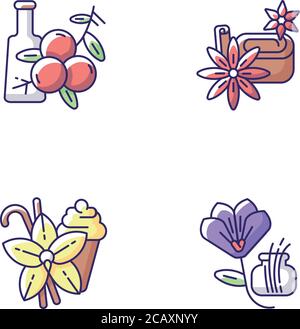 Juniper RGB color icon. Food flavoring. Cooking condiment. Herbal and ...