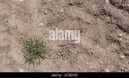 Patch of parched soil. Metaphor split, failing crops, crop losses ...
