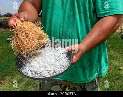 Local man demonstrates how to shred fresh coconut Stock Photo - Alamy