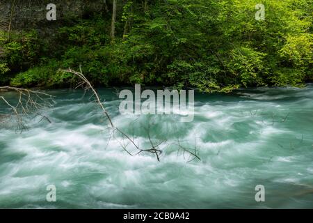 Water bubbling up from the spring forming the source of the River ...