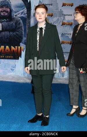 LOS ANGELES - DEC 9: Morgan Turner, Family at the "Jumanji: The Next ...