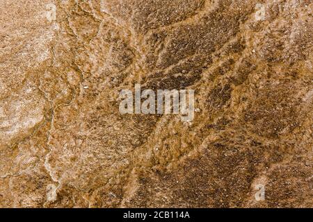 Textures from a microbial mat in a Yellowstone hot spring Stock Photo ...