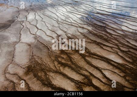Textures from a microbial mat in a Yellowstone hot spring Stock Photo ...