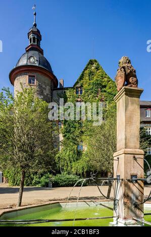 Medieval castle, Laubach Castle, overgrown with Common ivy (Hedera ...