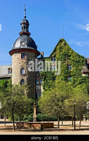 Medieval castle, Laubach Castle, overgrown with Common ivy (Hedera ...