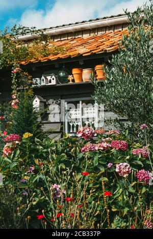 Grey painted wooden garden hut with hydrangeas. High quality photo ...