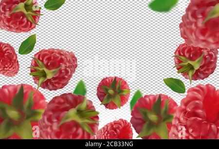 Raspberry falling from different angles. Flying raspberry with green ...