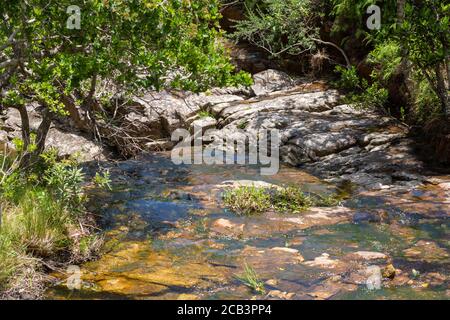 Landscape along a tributary of the Bulolo River in Umtamvuna Nature ...