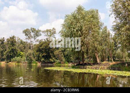 Landscape of the Cuemanco canal in Xochimilco, Mexico City. Calm river ...