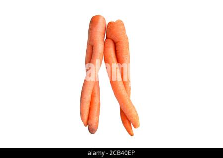 Human shaped carrot couple standing side by side Stock Photo - Alamy
