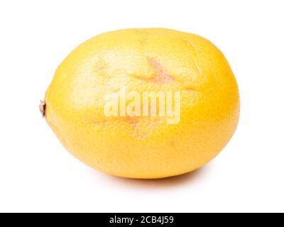 Spoiled lemon isolated on white background. Close-up. Horizontal shot ...