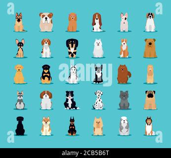 Collie dog icon blue vector isolated Stock Vector Image & Art - Alamy