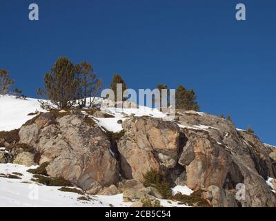 A cliff on a snowy slope against the blue sky with a lone tree on top ...