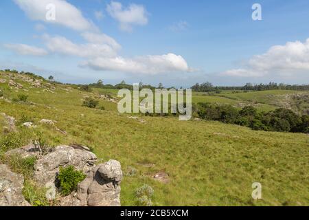 Impressions of the magnificient Umtamvuna Nature Reserve close to Port ...