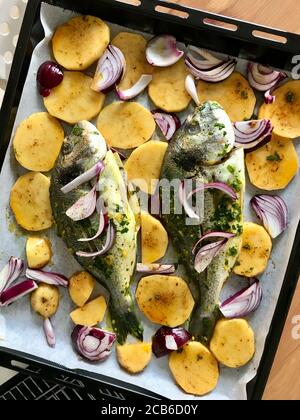 Marinated Two Dorada Fish Sea Bream with Pesto Sauce on Oven Tray with ...