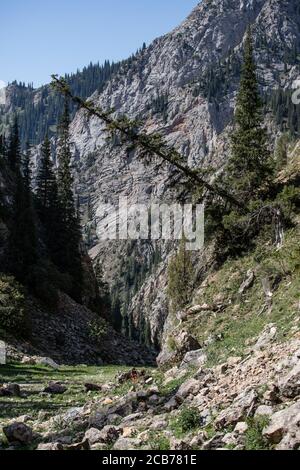 Scenes from Son Kol Lake in Kyrgyzstan's Naryn Oblast Stock Photo - Alamy