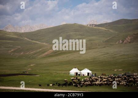 Scenes from Son Kol Lake in Kyrgyzstan's Naryn Oblast Stock Photo - Alamy