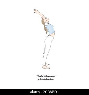 Hasta Uttanasana or Raised Arms Pose. Vector Stock Vector Image & Art ...