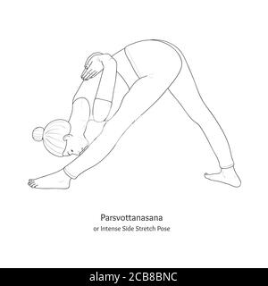 Parsvottanasana or Intense Side Stretch Pose. Vector Stock Vector Image ...