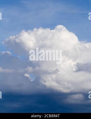 cumulus cloud build up Stock Photo - Alamy
