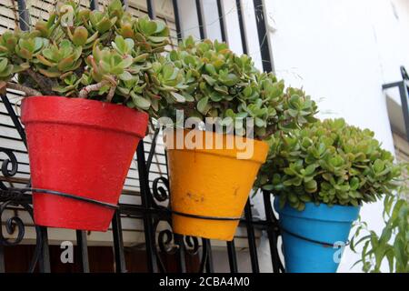 A low angle shot of colorful plants and trees captured in a dark forest ...