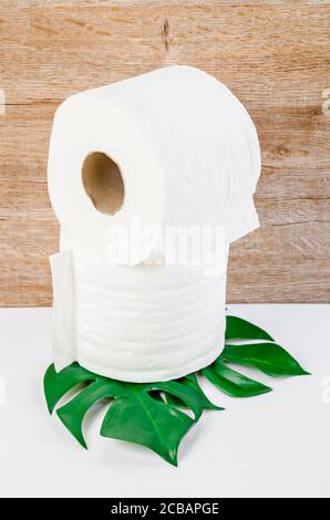 Tissue paper rolls and green leaves on white background Stock Photo - Alamy