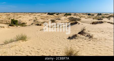 A beautiful shot of a sandy desert in the Paracas National Reserve ...