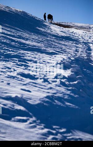 Scenes from Son Kol Lake in Kyrgyzstan's Naryn Oblast Stock Photo - Alamy