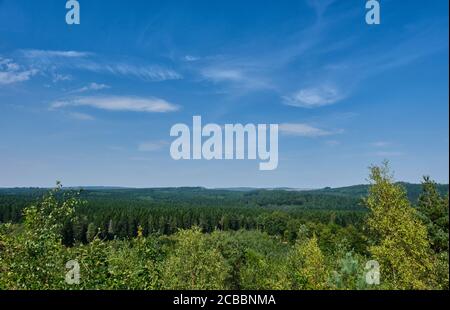 New Fancy Viewpoint; Forest of Dean; UK Stock Photo - Alamy