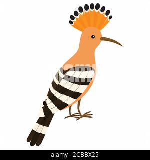 hoopoe bird exotic color icon vector illustration Stock Vector Image ...
