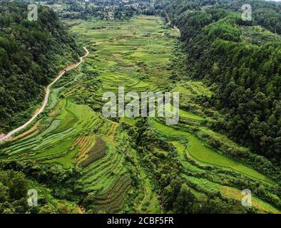 Aerial photo shows the terraced fields in Bijie City, southwest China's ...
