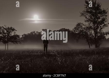 A person with a flashlight on a foggy meadow, with a flashlight in the ...