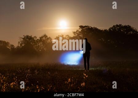A person with a flashlight on a foggy meadow, with a flashlight in the ...